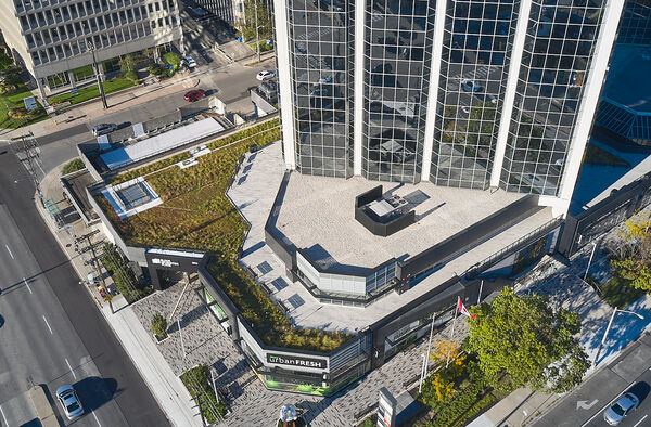 Bloor Islington Place